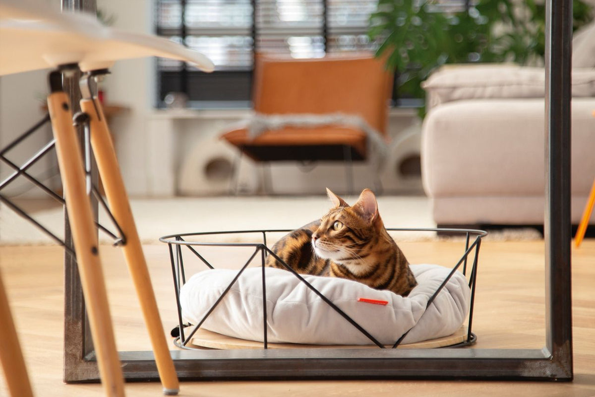 Beeztees Metall Katzenliege Kipu – mein-Tiershop.de